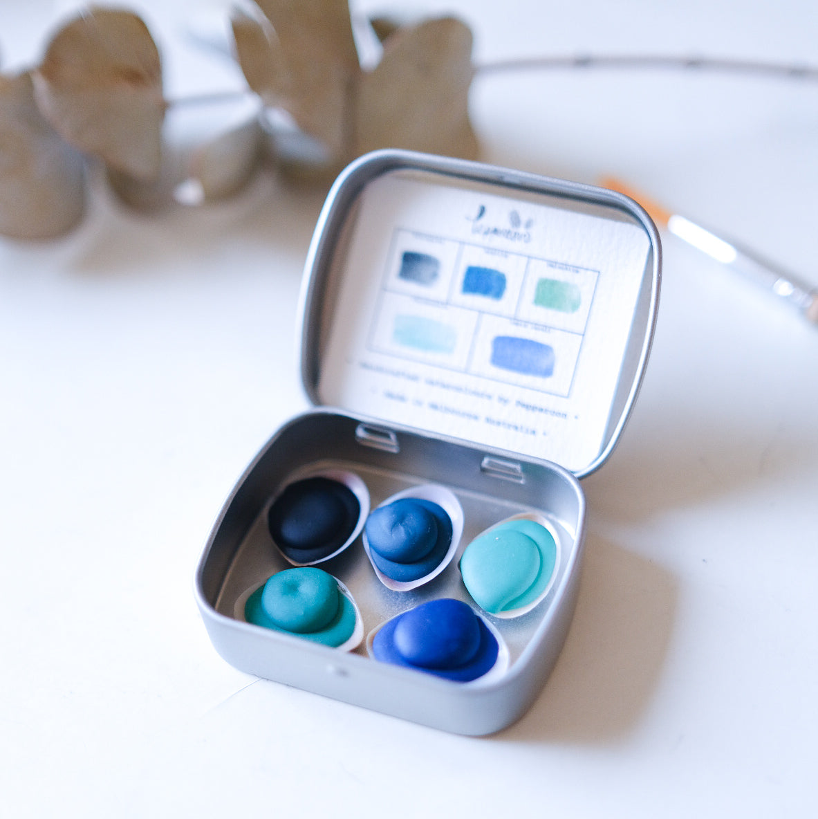 Mini Shell set- Geology Collection Handcrafted Watercolours by Peppercon